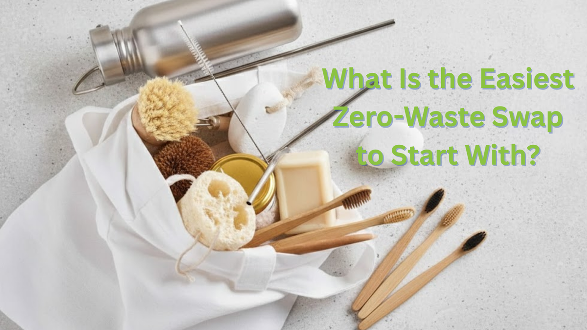What Is the Easiest Zero-Waste Swap to Start With? — EarthShopp