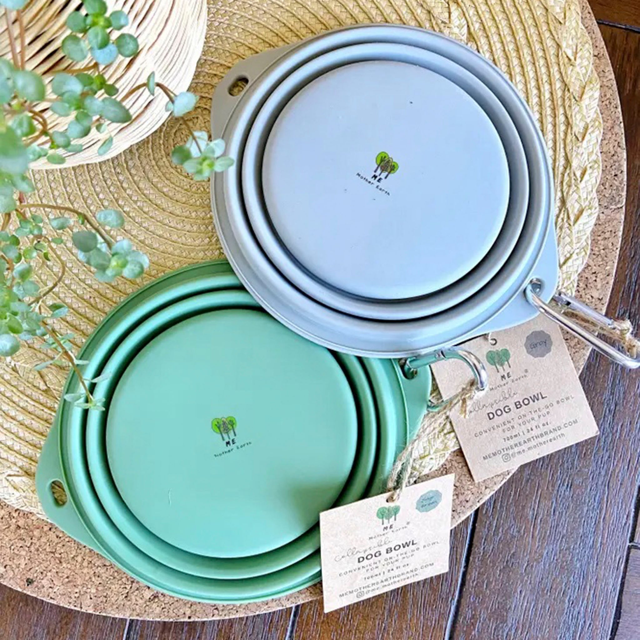 EarthShopp - Shop for Sustainability